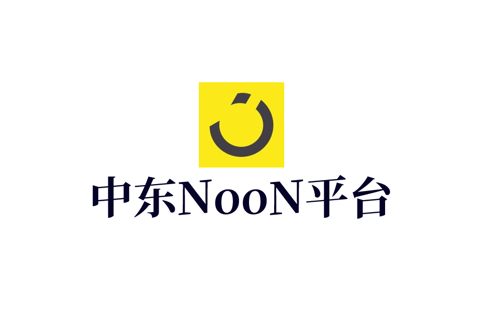 noon教程 noon选品 运营 广告 noon新手 中东电商学习-出海王